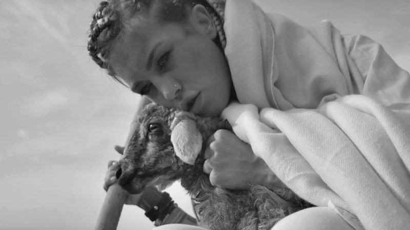 Videoclip: Elliphant - Where Is Home ft. Twin Shadow