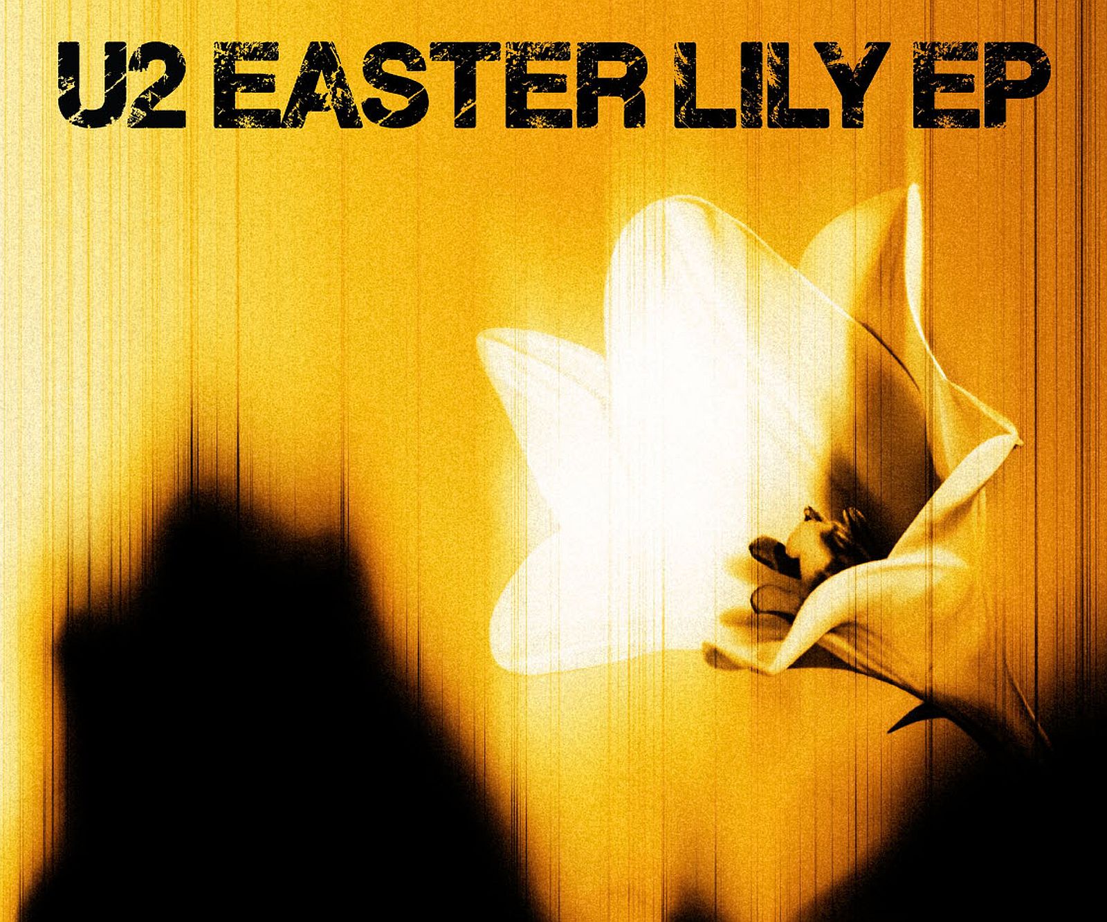 U2 a lansat un album de Paște, "Easter Lily"